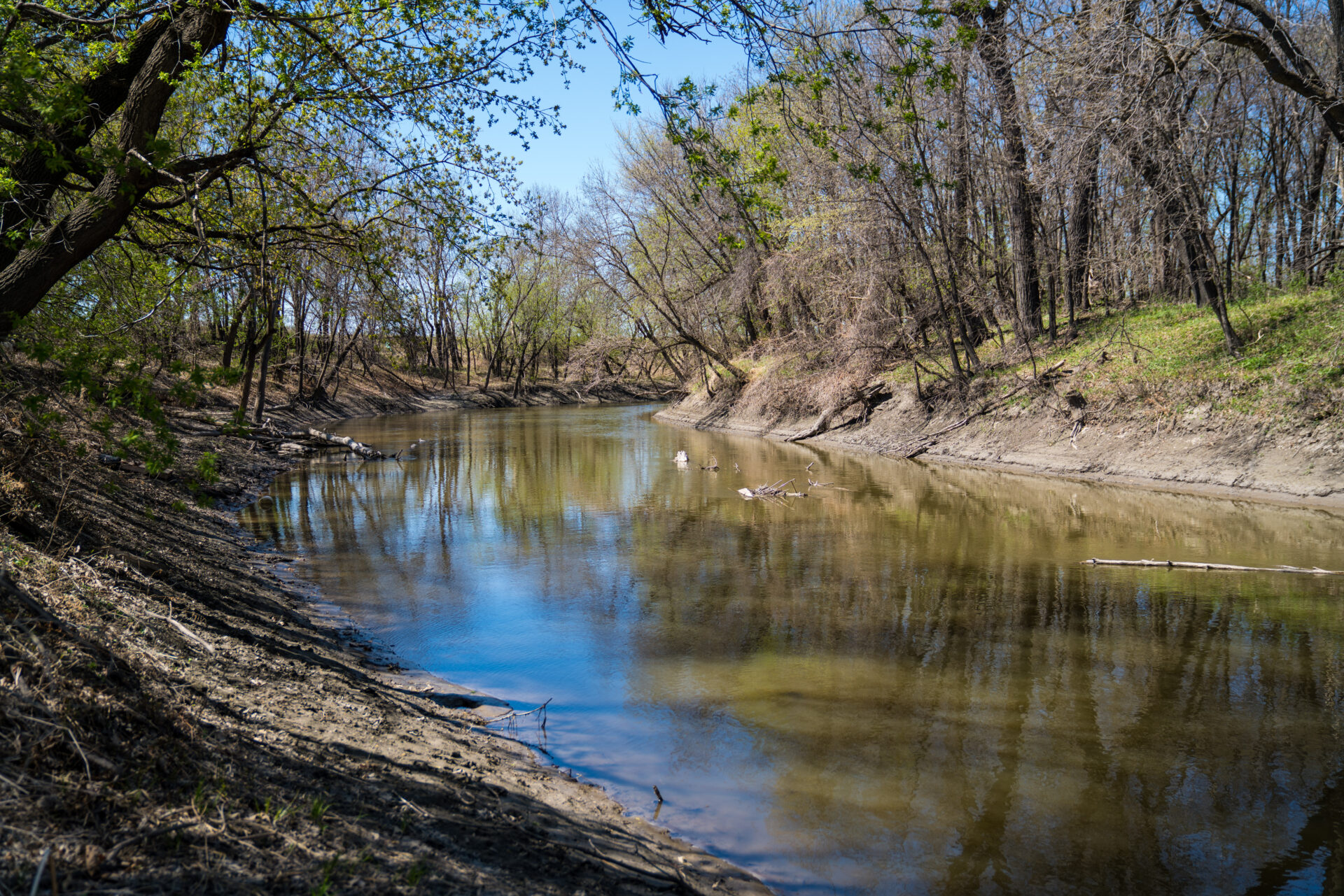 Providing A Bite To Eat For The Big Apple